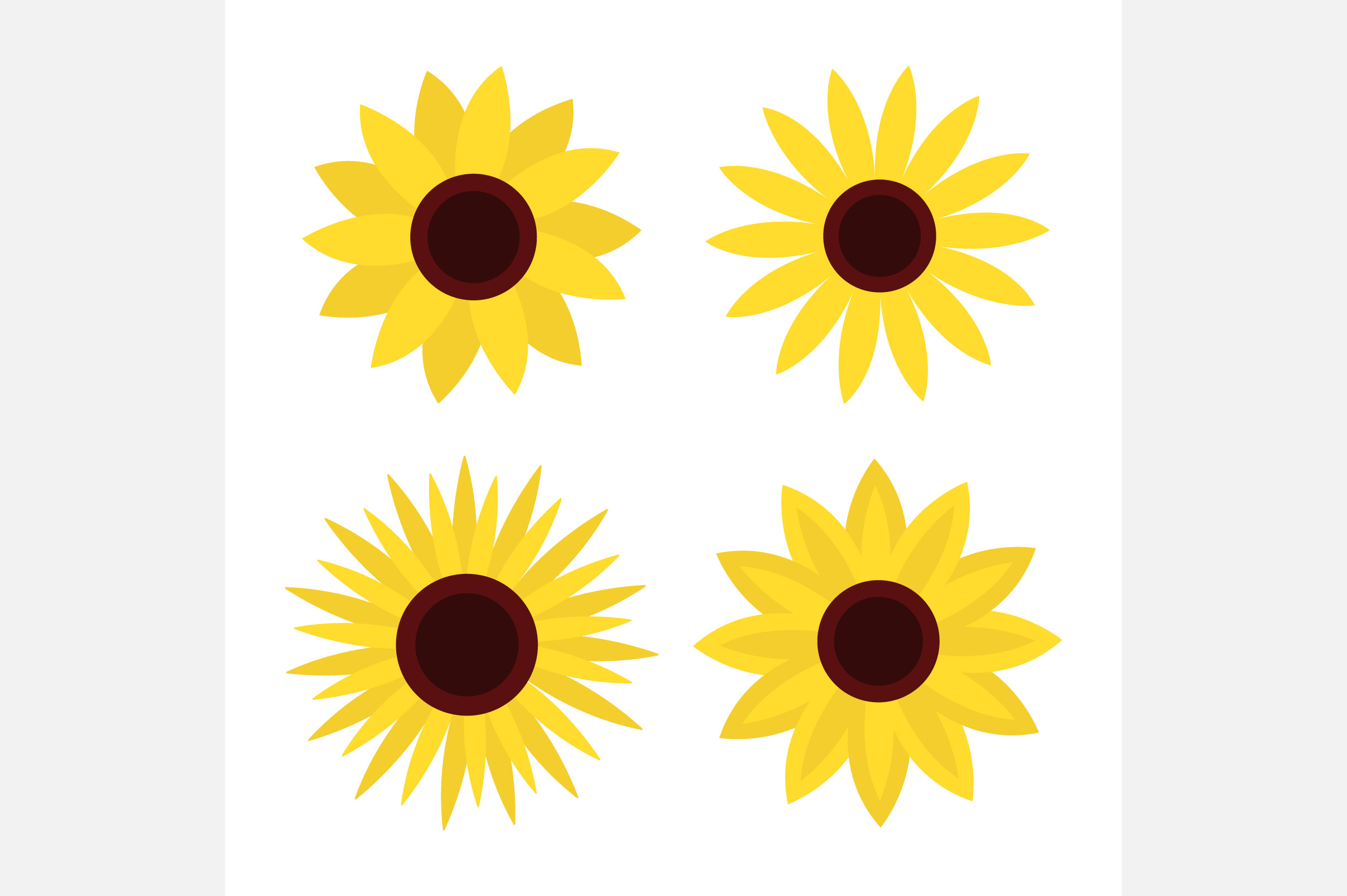 Sunflower set Four yellow sun flower, a Decorative Illustration by ...