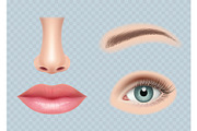 Face parts realistic. Human body, a Background Graphic by Onyx