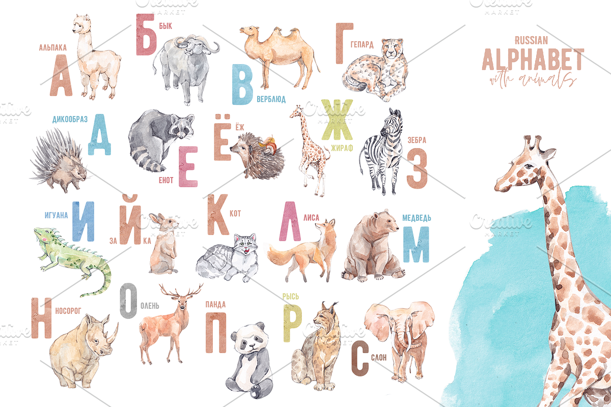 Russian Alphabet with Animals, an Animal Illustration by VerAna
