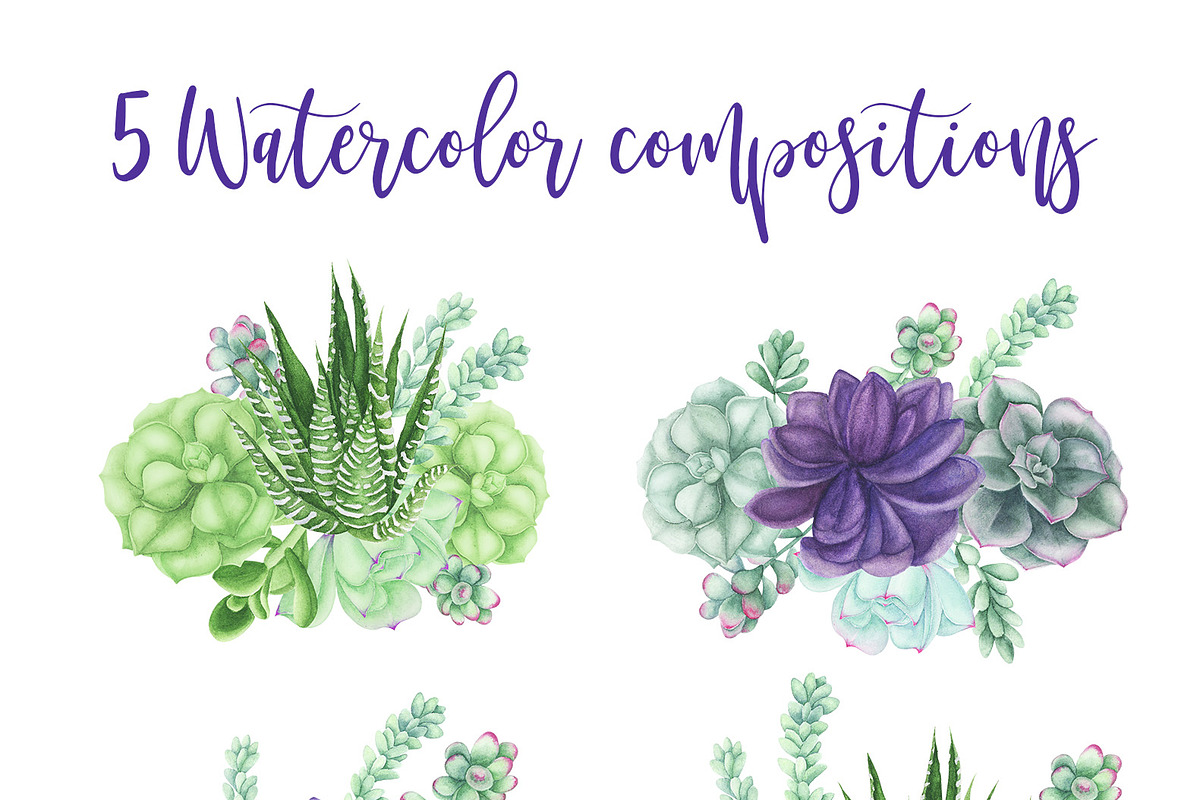 Succulents Bundle, a Decorative Illustration by Plants&Stuff