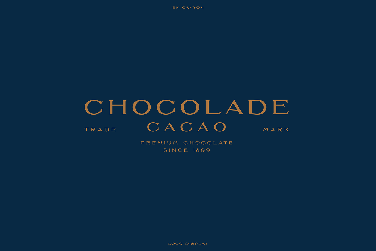 Canyon - An Elegant Serif Typeface, a Sans Serif Font by Bnick