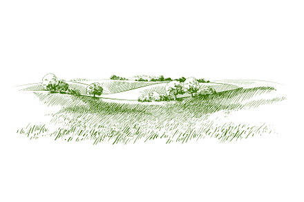 Cartoon farm green seeding field, | Food Illustrations ~ Creative Market