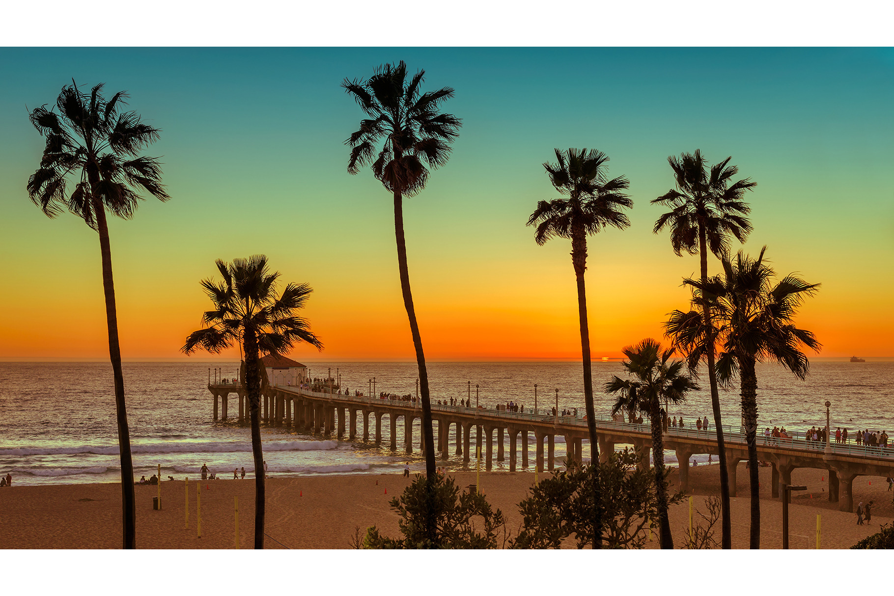 Palm trees, sunset, California beach, a Nature Photo by Lucky ...