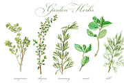 Garden Herbs Set Pencil Drawing, a Food Illustration by Anna Repp ...