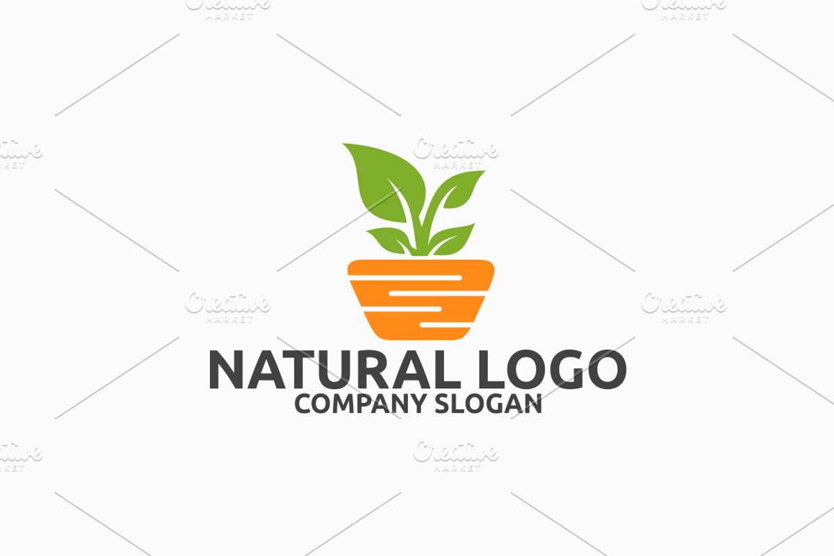 Natural Logo, a Branding & Logo Template by Brandlogo