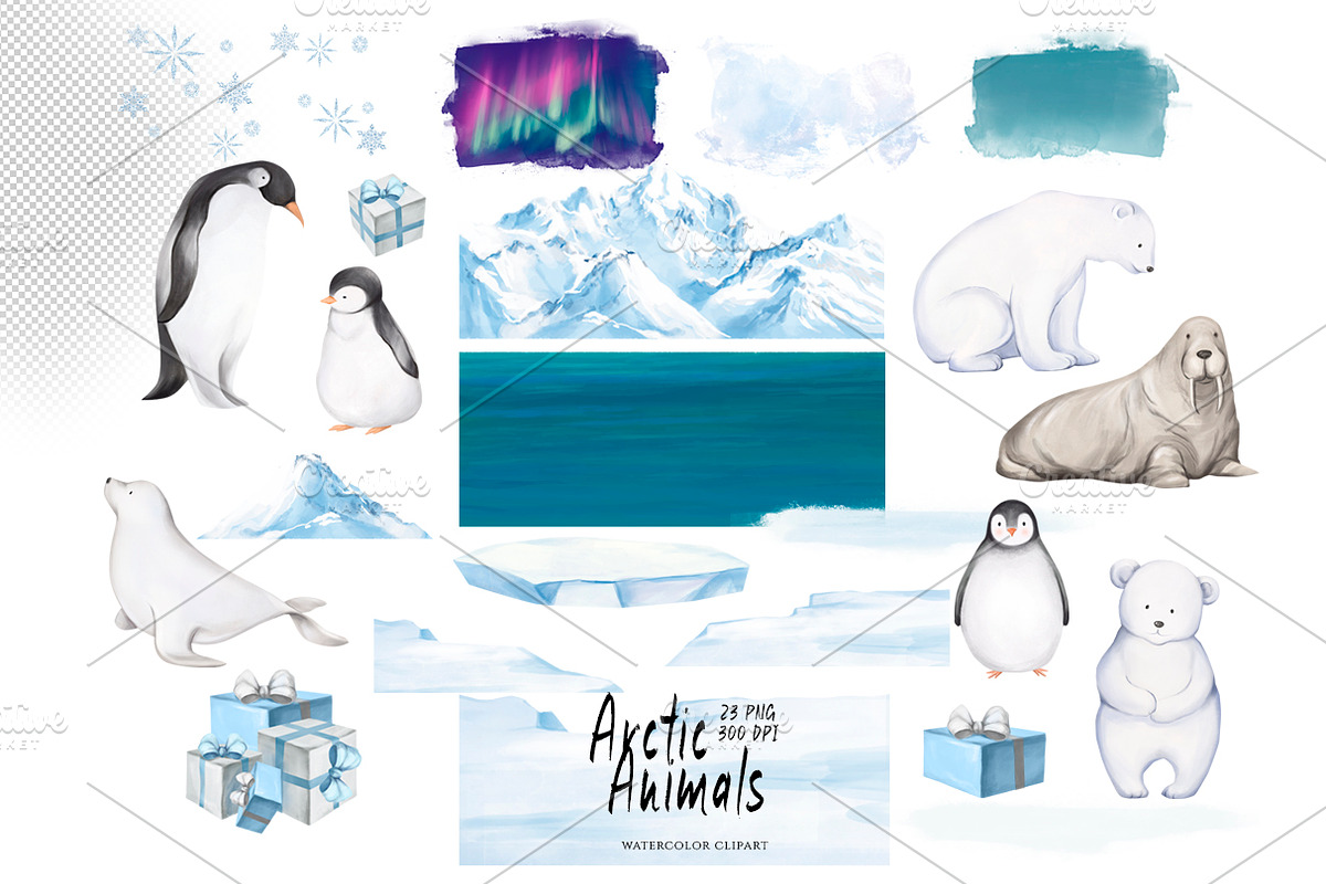 Arctic Animals Watercolor Clipart, an Animal Illustration by StudioBeeArt