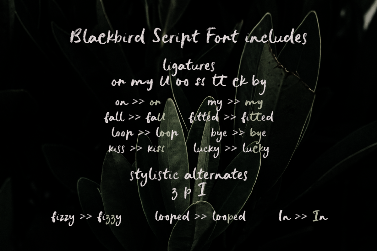 Blackbird crayon script SVG font, a Script Font by Ana's Fonts