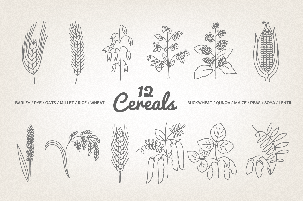12 Cereals - illustration & patterns | Food Illustrations ~ Creative Market