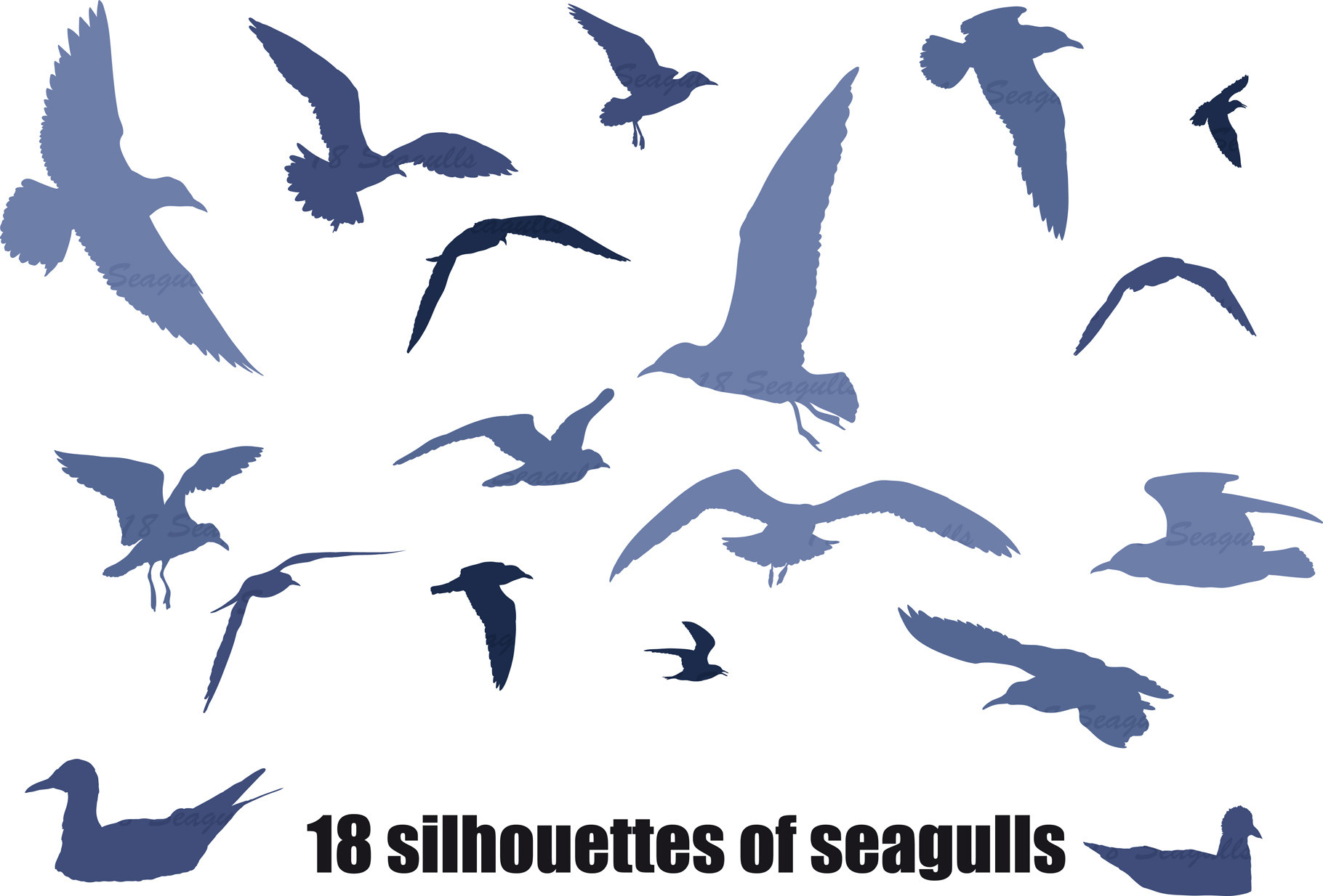 18 seagulls, an Icon by Sharpner