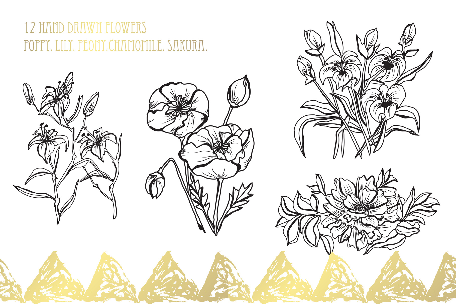 12 Hand Drawn Flowers Set, a Decorative Illustration by Sunset&Sea Design