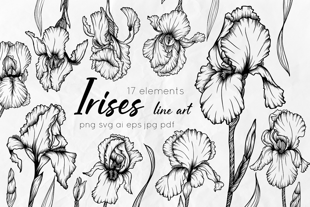 Irises Line Art Vector Collection, an Illustration by Dervik Art Store