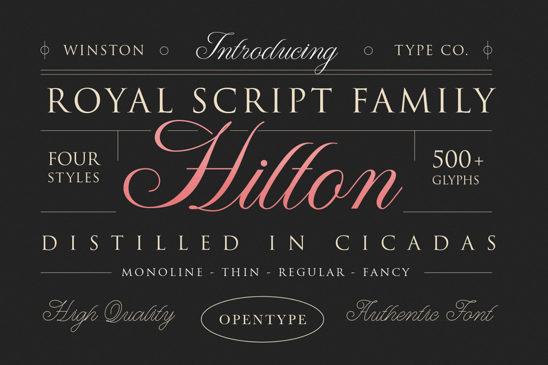 WT Hilton Script, a Font by Winston Type Co.