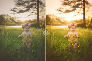 Sunlight Lightroom Presets, an Action Add-On by Presetsh.com