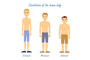 Human Body. Ectomorph. Mesomorph, a Healthcare Illustration by robuart