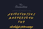 Zenith Script, a Script Font by kavoon
