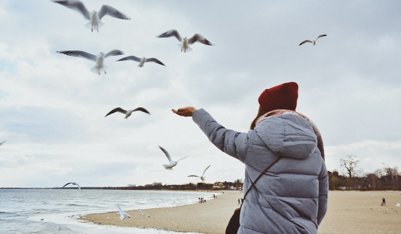 Girl at the sea with seagulls around, a Person Photo by Pro.Motion ...