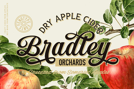 Spaghetti Western | Script Fonts ~ Creative Market