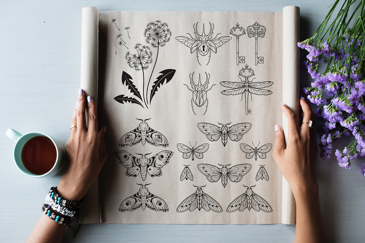 Mystery Forest Arts and Patterns, an Animal Illustration by Croisy