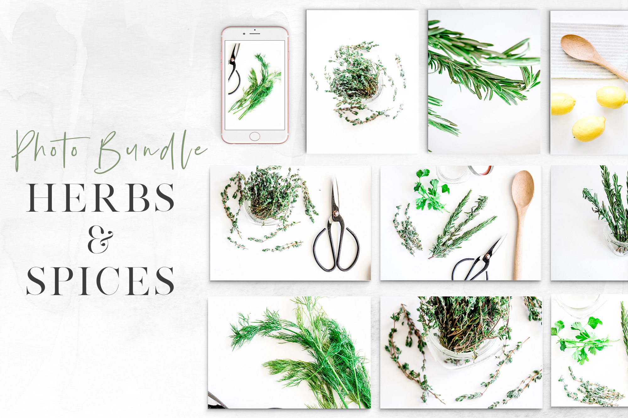 Herbs and Spices Bundle, a Food & Drink Photo by Hudson Farmhouse