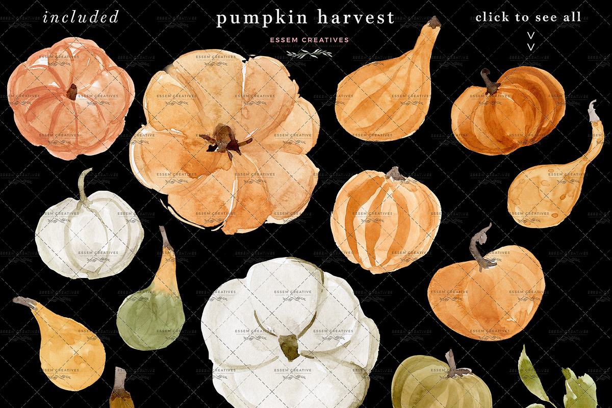 Pumpkin Harvest Thanksgiving Clipart, an Illustration by Essem Creatives