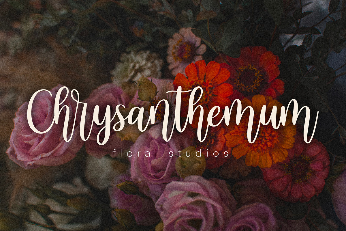 Marmalade Modern Script Font, a Script Font by The Creative Bix ...