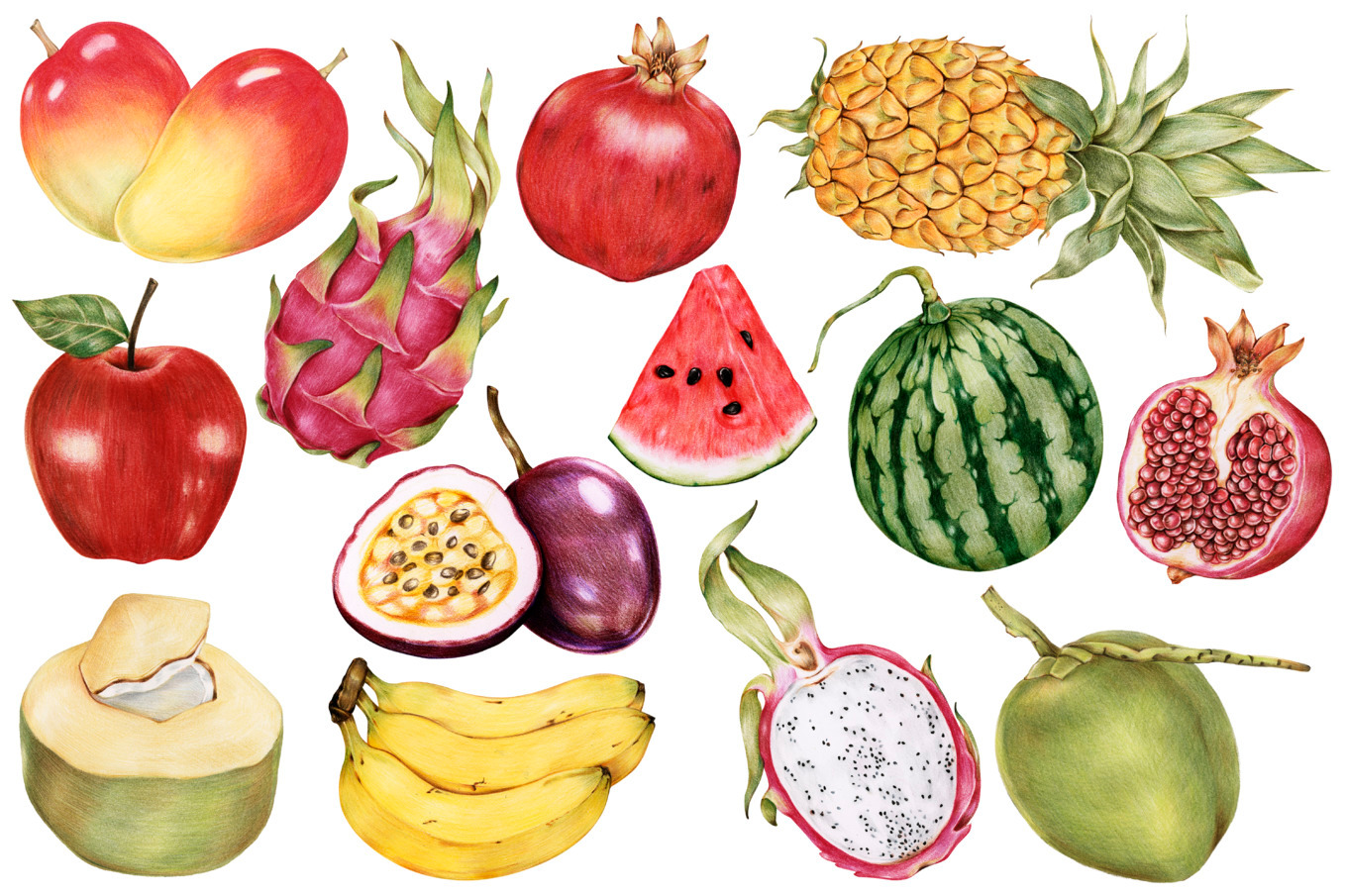 Hand drawn watercolor of fruitpng featuring fruit, agriculture, and ...