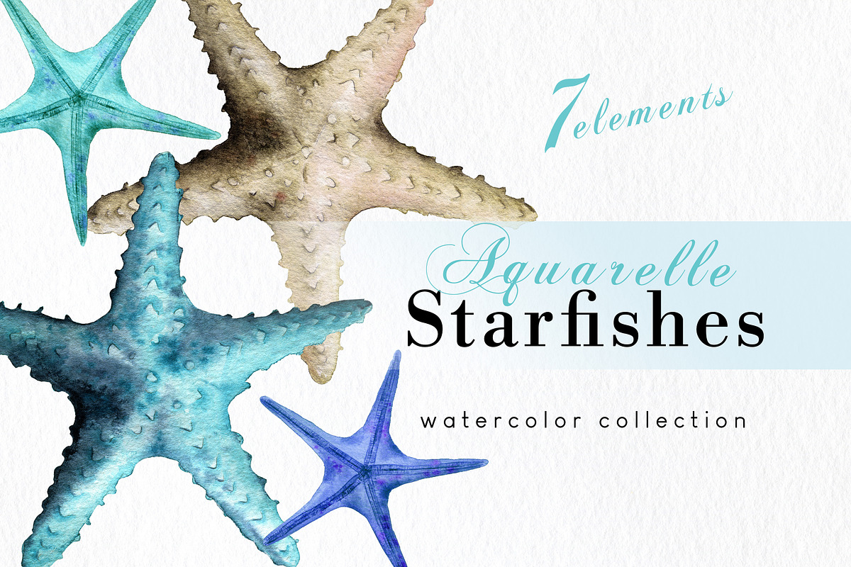 Beach Starfish Clipart Set, an Illustration by WatercolorWind