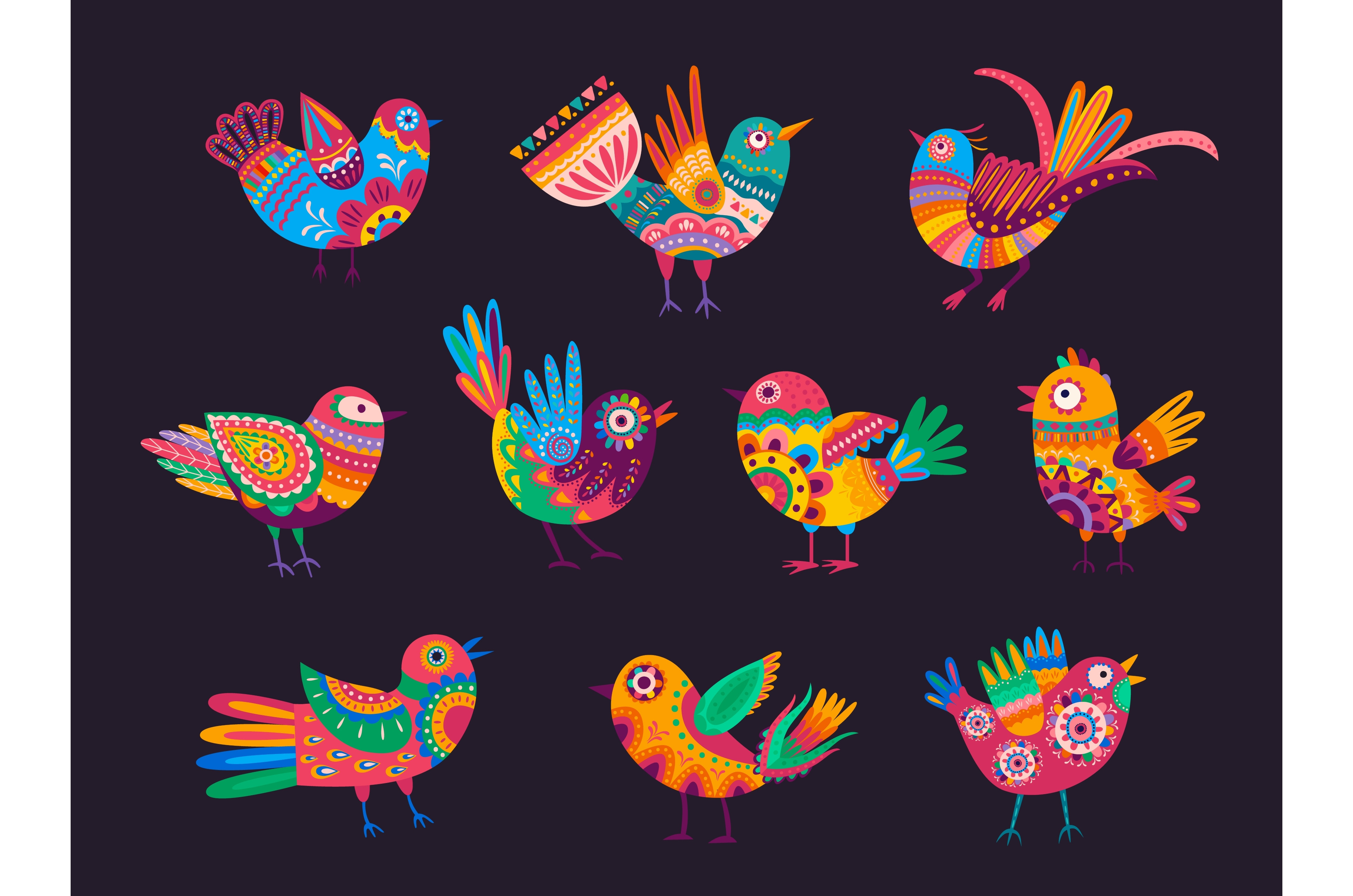 Mexican birds with feathers, an Animal Illustration by Vector Tradition