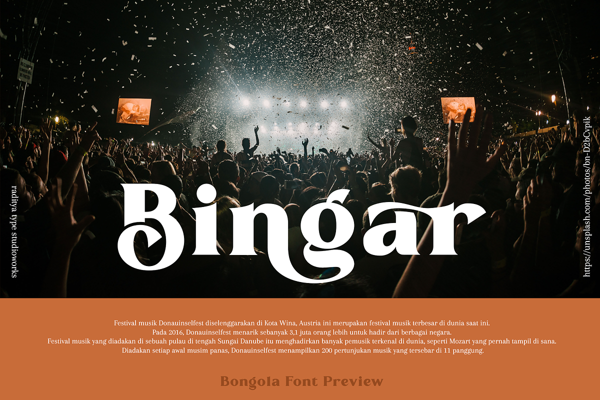 Bongola - Serif Display Font