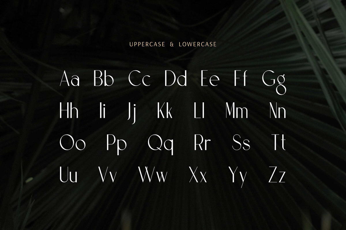 Prestigious - Luxury Elegant Font, a Sans Serif Font by Fype Co.