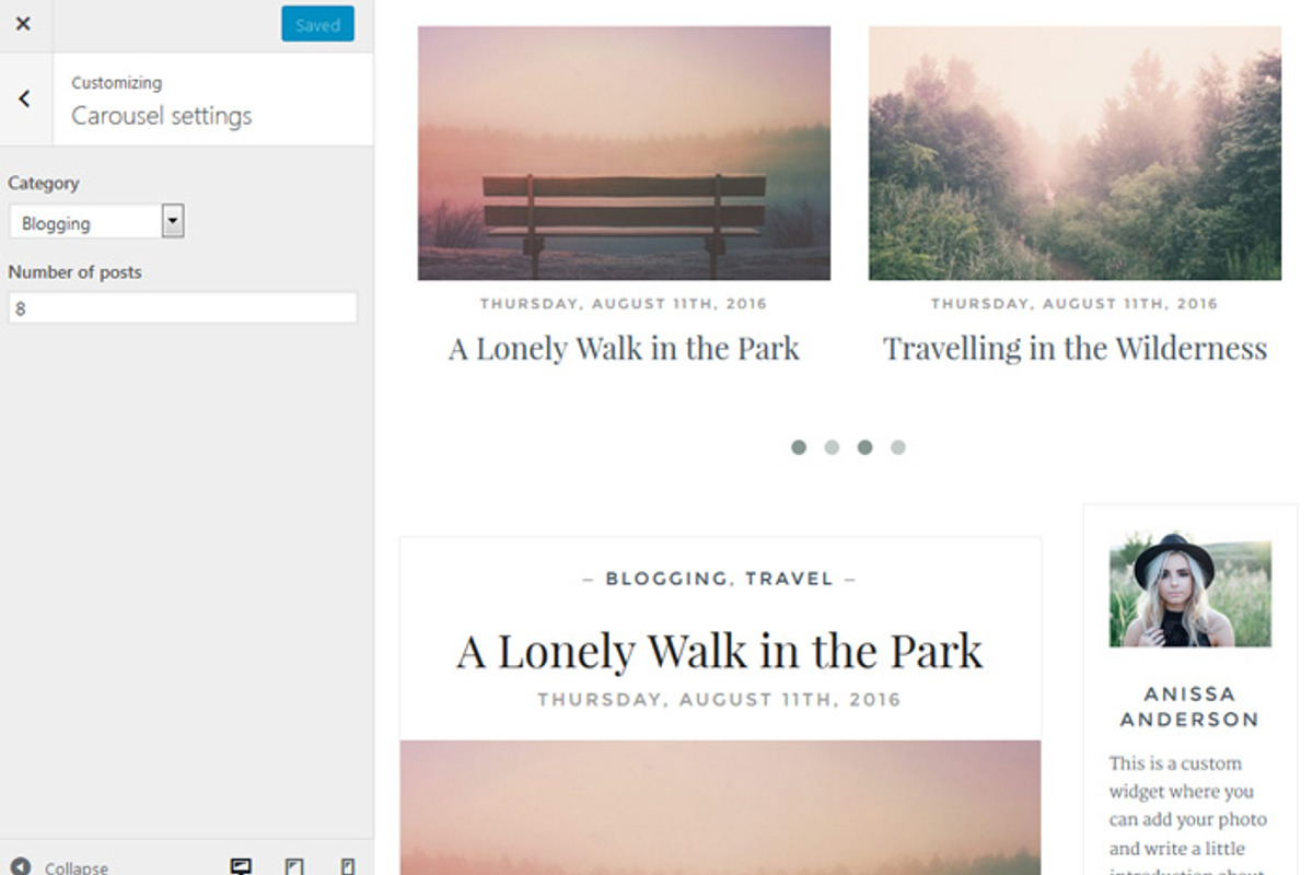 Anissa / Blog & WooCommerce Theme, a WordPress Template by AlienWP