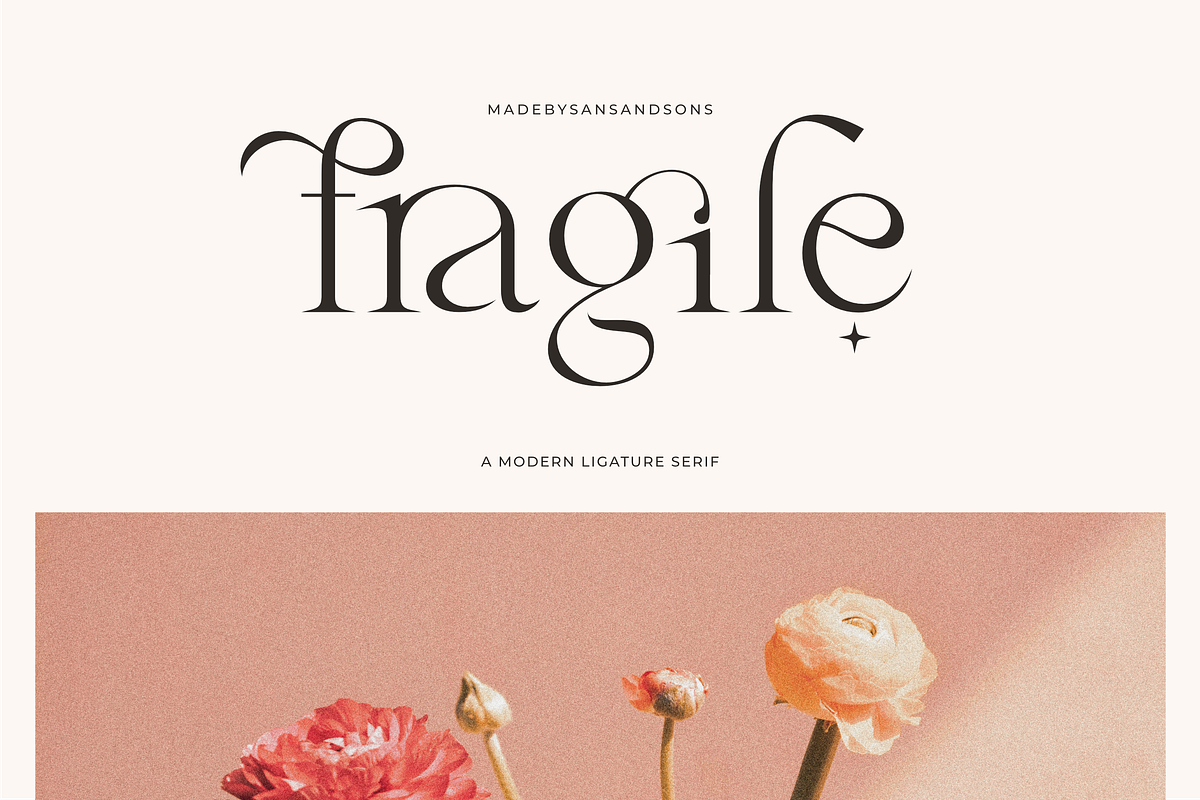 Fragile - Modern Serif, a Serif Font by Sans & Sons