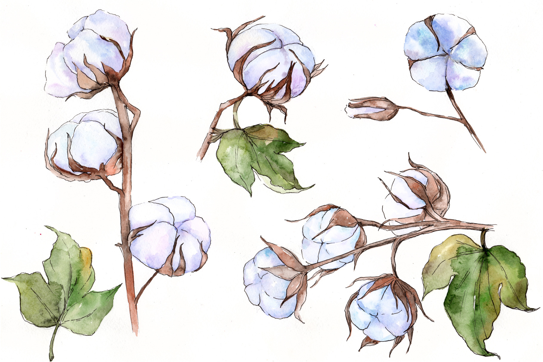 Flower soft cotton PNG watercolor, a Seasonal Illustration by ...