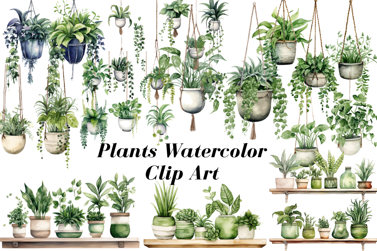 Plants Watercolor Clipart, an Illustration by Digital Xpress
