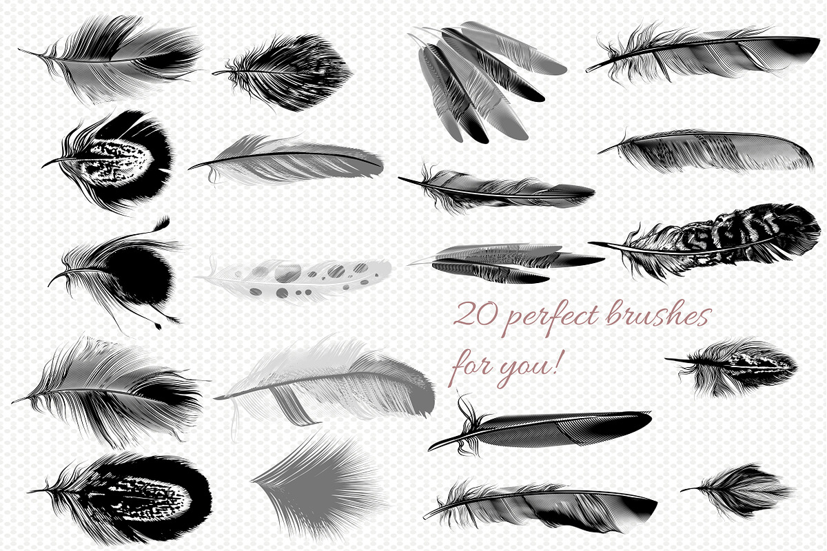 Feather brushes for illustrator, a Brush Add-On by FleurArt
