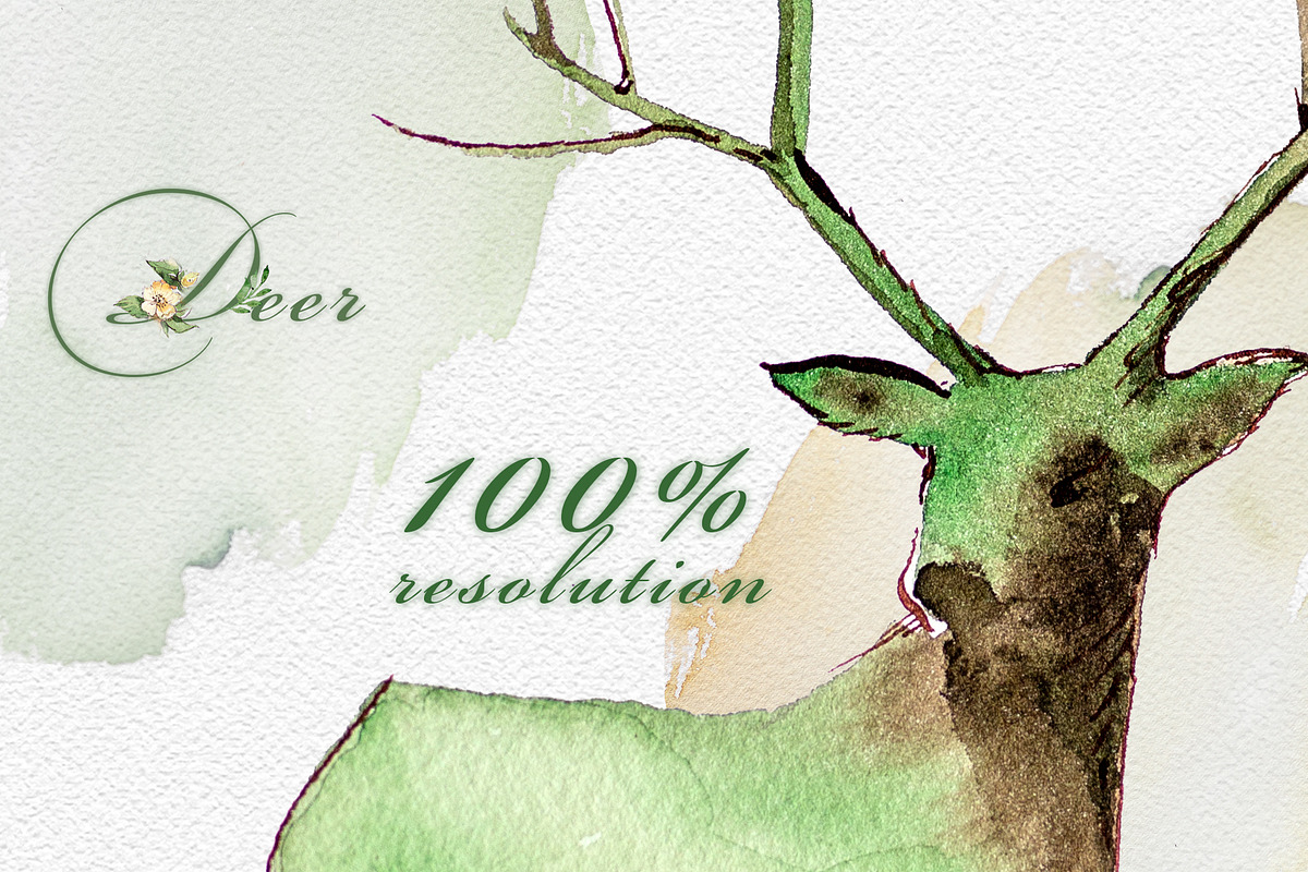 Watercolor Deer Clipart Set, an Animal Illustration by ...