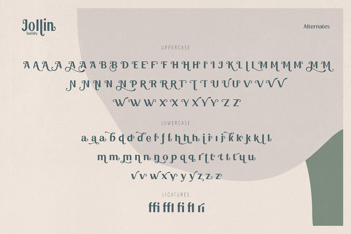Jollin Family - Variable Font, a Sans Serif Font by creativemedialab