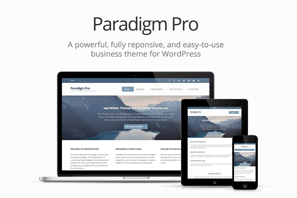 Paradigm Pro: Modern Business Theme, a WordPress Template by wpCMSdev