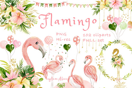 Watercolor Flamingo Clipart | Set of | Illustrations ~ Creative Market