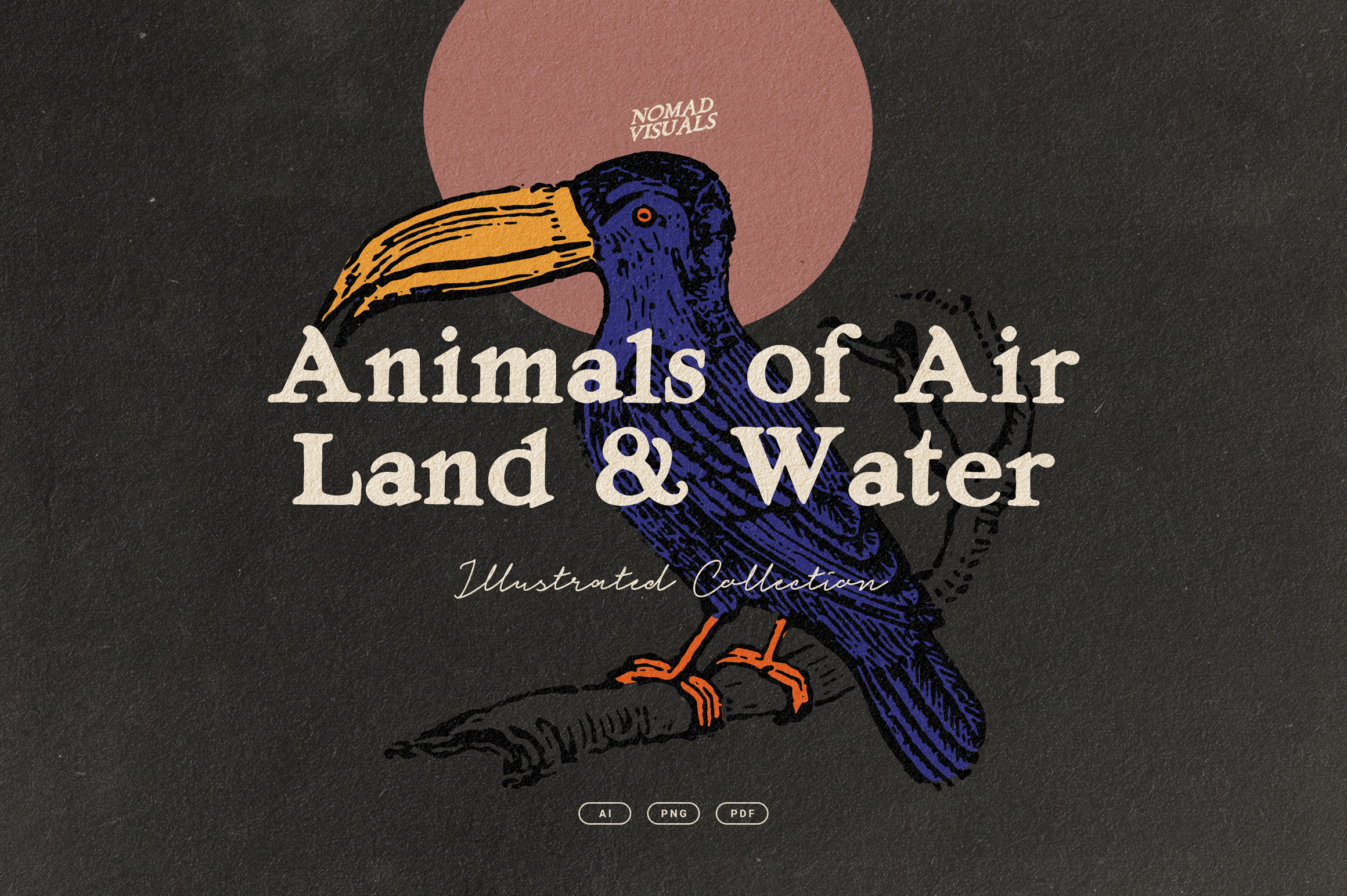 Animals of Air, Land & Water, an Animal Illustration by Nomad Visuals