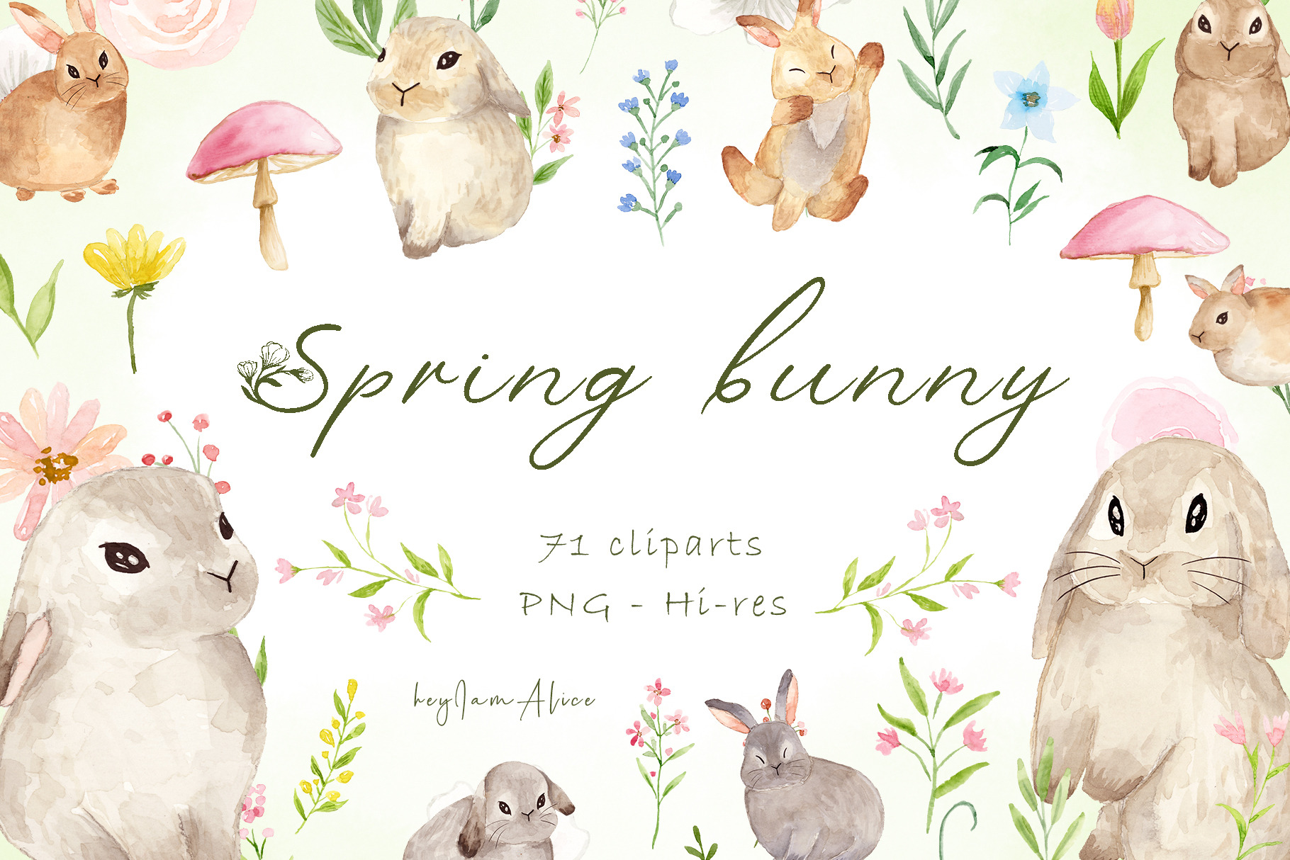Spring bunny