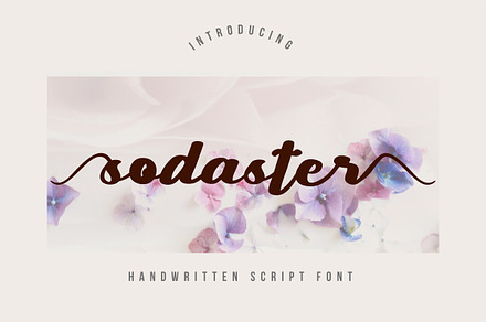 Wallflower, a Script Font by Wangsinawang Studio