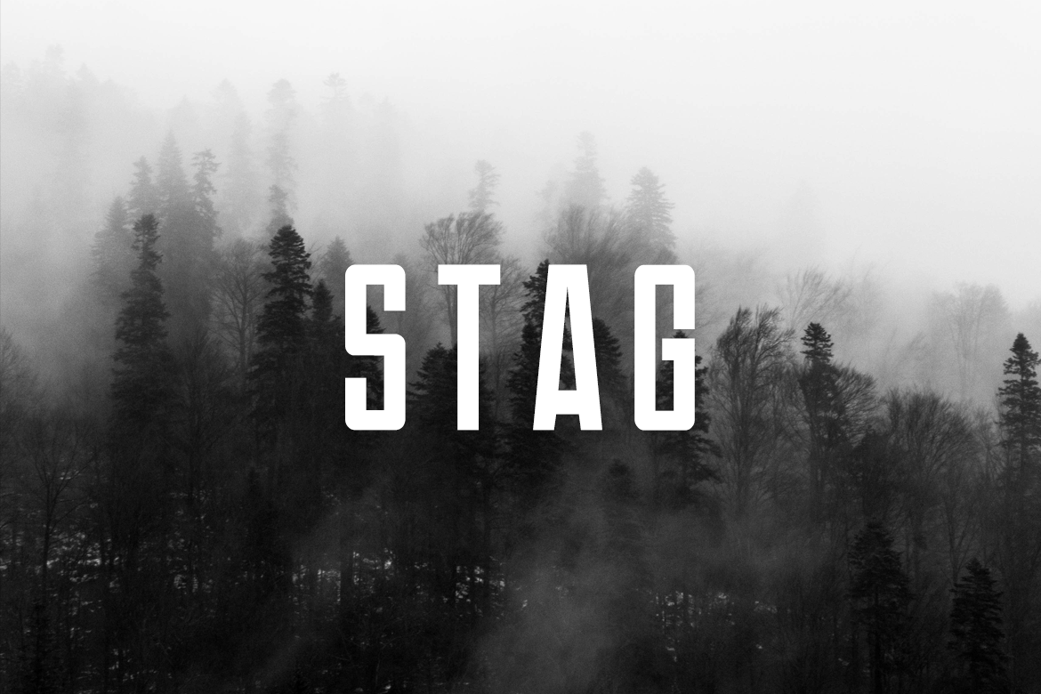 STAG - Display / Headline Typeface, a Font by Designova®