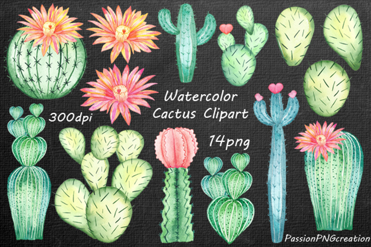 Watercolor Cactus Clipart, an Illustration by PassionPNGcreation