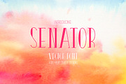 Senator - vector font, a Serif Font by Olga Stanis