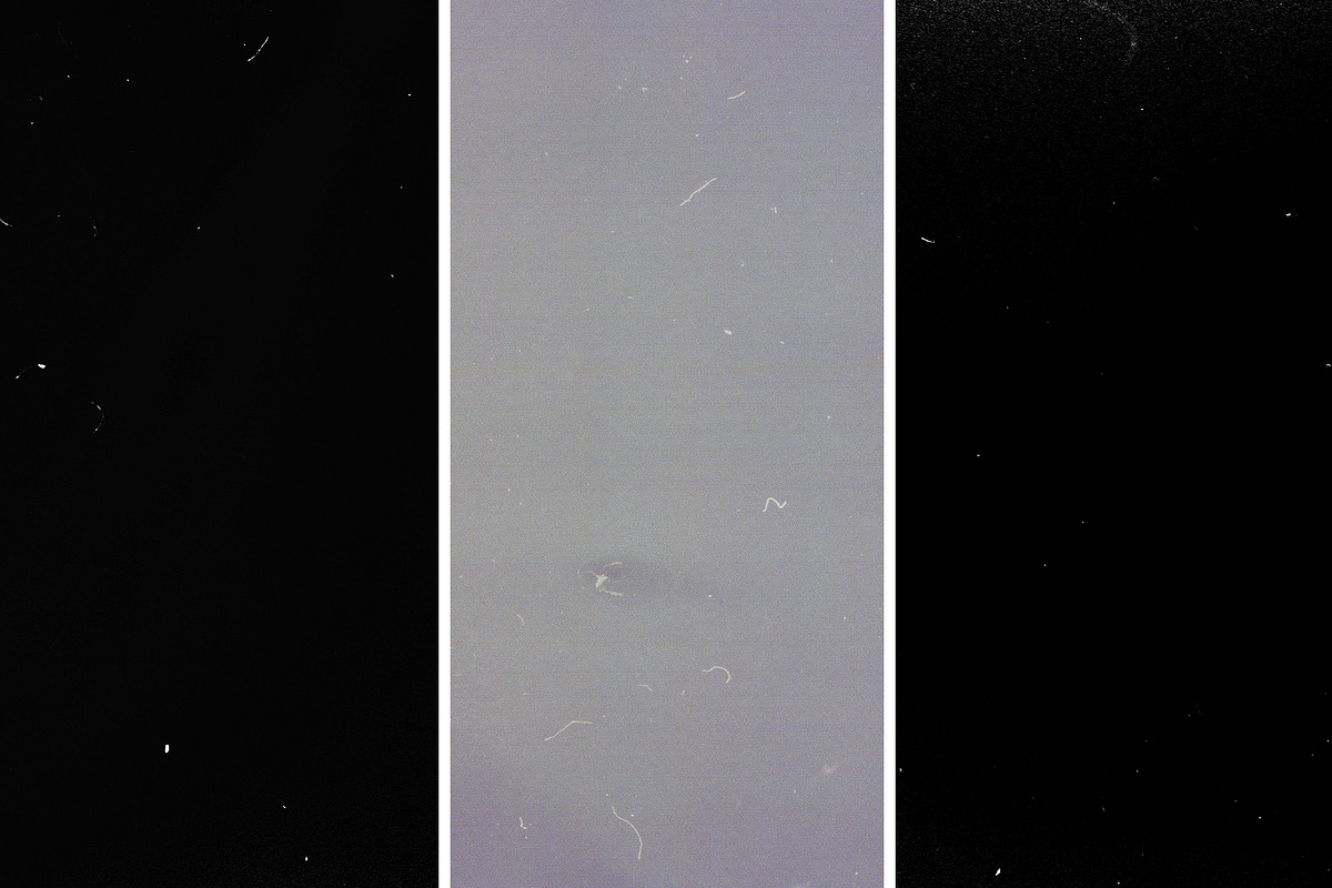 The Shop | Analog film textures