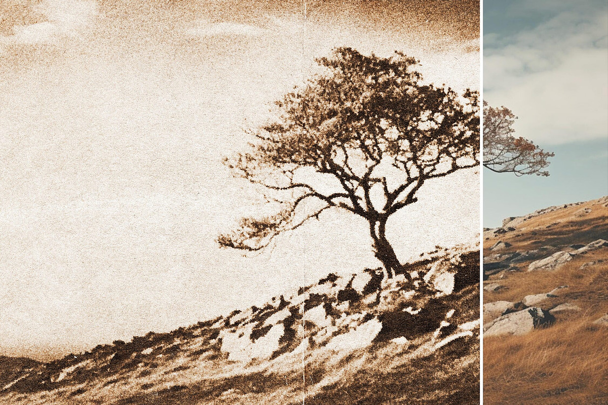 Vintage Photo Printer Effect, a Layer Style Add-On by Design Squad