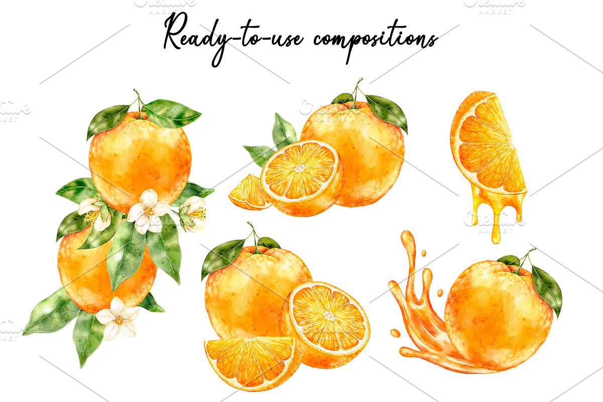 Orange Watercolor Clipart - PNG, a Food Illustration by Eves_Aquadreams