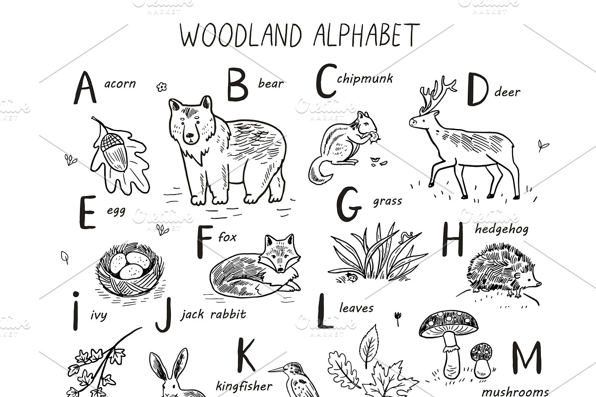 Woodland Alphabet, an Animal Illustration by GooseFrol