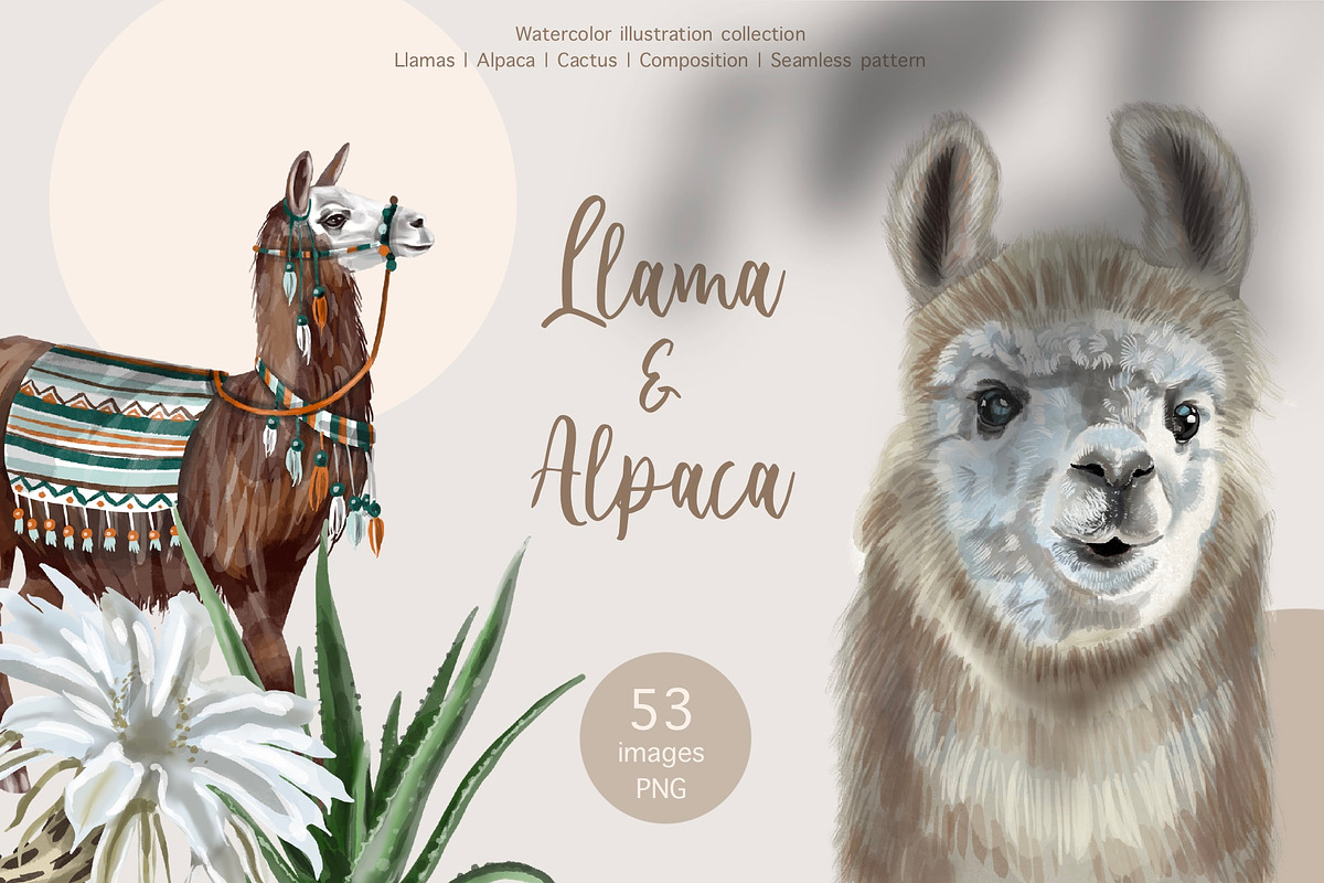 Watercolor LLama & Alpaca, an Animal Illustration by NNclipart